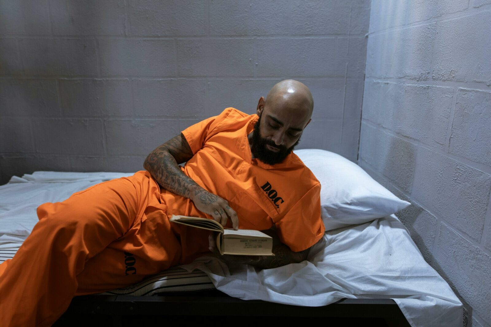 Access to high-quality literacy support can reduce incarceration rates ...